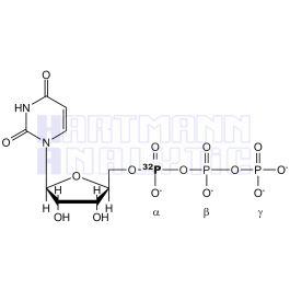 HARTMANN ANALYTIC | [alpha-P32]UTP, 400 Ci/mmol, 10 mCi/ml